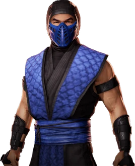 Sub-Zero | Heroes Wiki | Fandom
