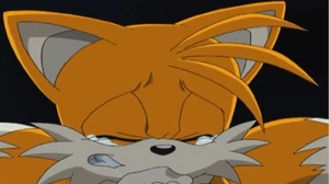 Miles "Tails" Prower (Sonic X)/Gallery | Heroes Wiki | Fandom