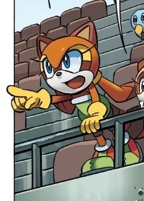 Marine the Raccoon (Archie Comics) | Heroes Wiki | Fandom