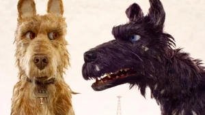 Chief (Isle of Dogs) | Heroes Wiki | Fandom