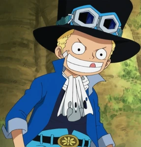 Sabo/Gallery | Heroes Wiki | Fandom