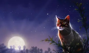 Windstar | Heroes Wiki | Fandom