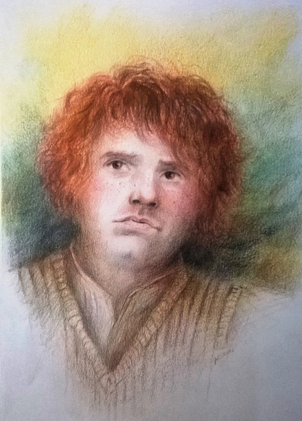 Samwise Gamgee | Heroes Wiki | Fandom