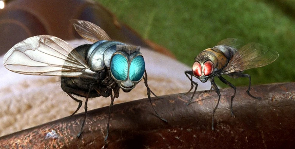 Buzz & Scuzz | Heroes Wiki | Fandom