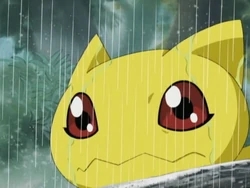 nyaromon digivolution