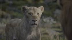 Nala Heroes Wiki Fandom Powered By Wikia