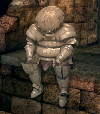 Siegmeyer of Catarina | Heroes Wiki | Fandom