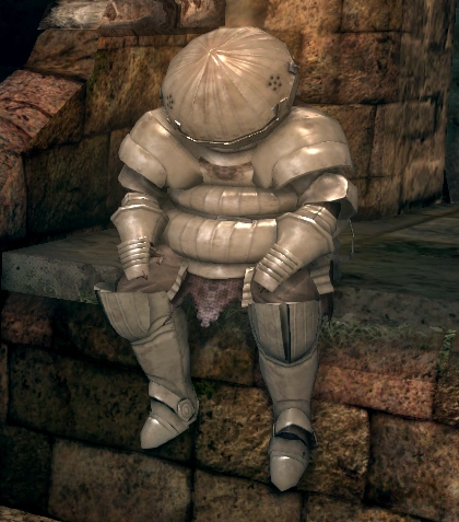 Siegmeyer of Catarina | Heroes Wiki | Fandom
