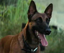 CX404 | Heroes Wiki | Fandom