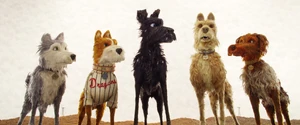 Chief (Isle of Dogs) | Heroes Wiki | Fandom