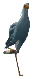 Secretarybird | Heroes Wiki | Fandom