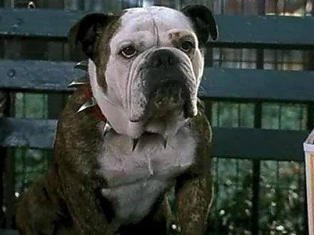 Mr. Beefy | Heroes Wiki | Fandom