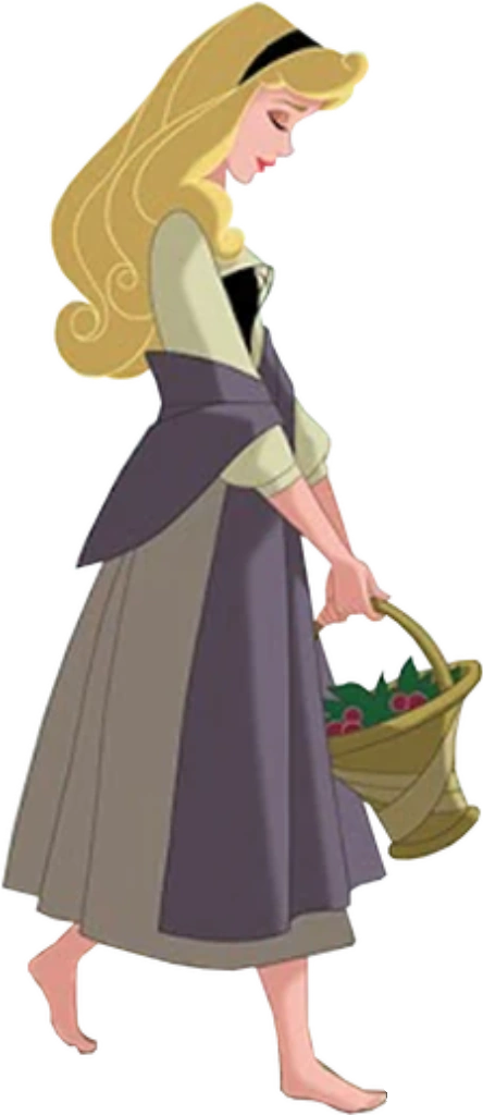 Princess Aurora Peasant Costume