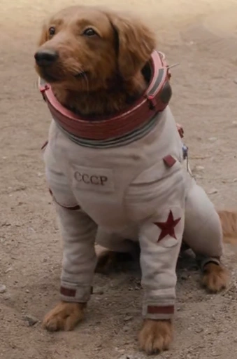 Cosmo the Spacedog (Marvel Cinematic Universe) | Heroes Wiki | Fandom