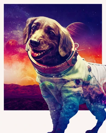 Cosmo the Spacedog (Marvel Cinematic Universe) | Heroes Wiki | Fandom