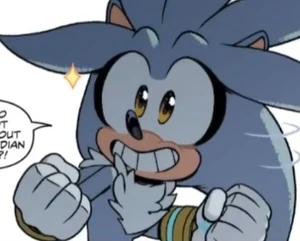 Silver the Hedgehog (Archie Comics) | Heroes Wiki | Fandom