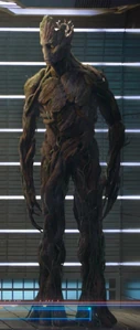 Groot (Marvel Cinematic Universe)/Gallery | Heroes Wiki | Fandom