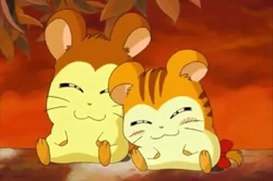 Hamtaro Maxwell And Sandy