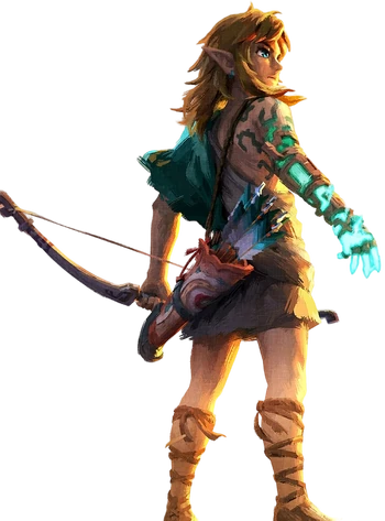 Link (Hero of the Wild) | Heroes Wiki | Fandom