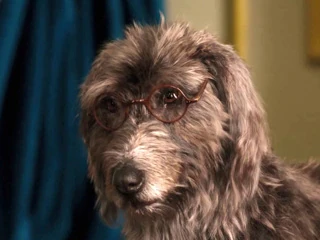 Jip | Heroes Wiki | Fandom