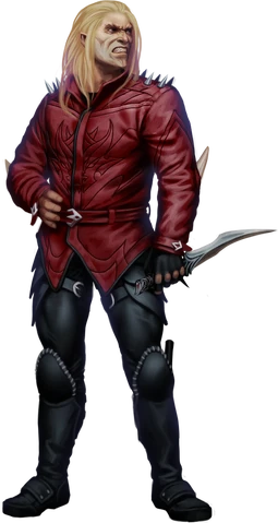 Radovan | Pathfinder Adventure Card Game Wiki | Fandom