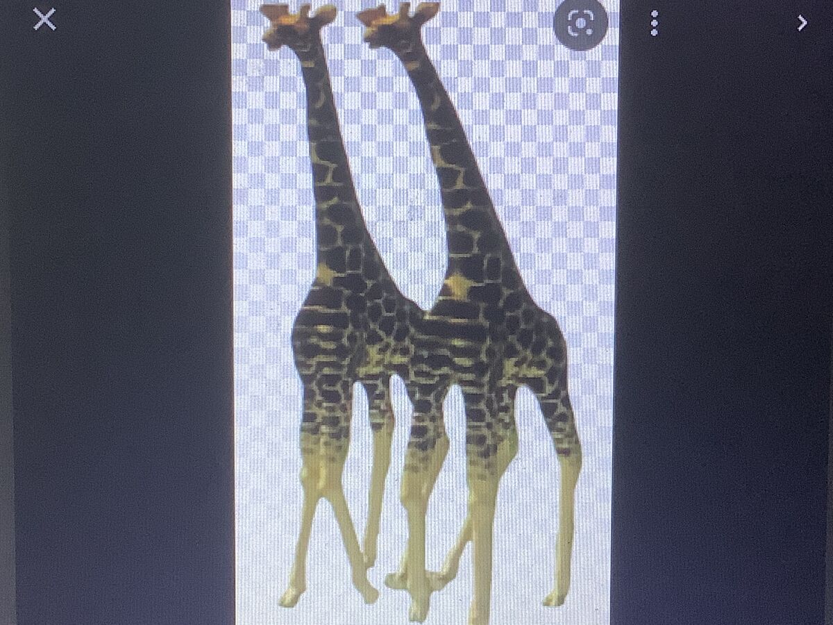 Giraffes Pachirapong Wiki Fandom