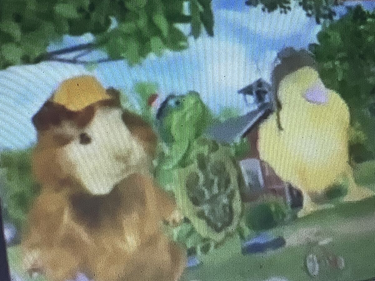Thumbelina References in The Wonder Pets! | Pachirapong Wiki | Fandom Thumbelina References in The Wonder Pets! | Pachirapong Wiki | Fandom