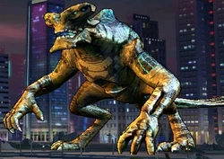 Pacific Rim Slattern