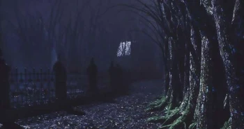 Woods | Pacify Wiki | Fandom