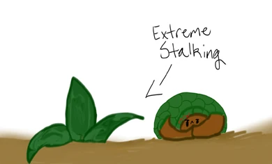 Moss | Packs and Tribes Wiki | Fandom