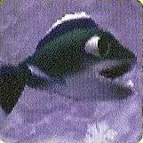 Jumping Fish | Pac-Man Wiki | Fandom