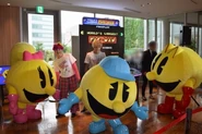Pac-Store | Pac-Man Wiki | Fandom