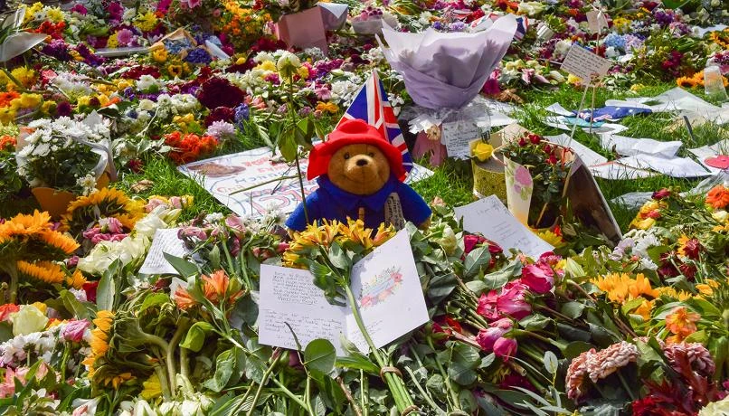 Paddington and the Queen | Paddington Bear Wiki | Fandom