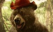 Pastuzo | Paddington Bear Wiki | Fandom