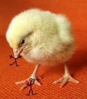 Grue | Pagepedia Wiki | Fandom