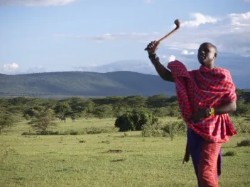 Rungu | Pain enclycopedia Wiki | Fandom