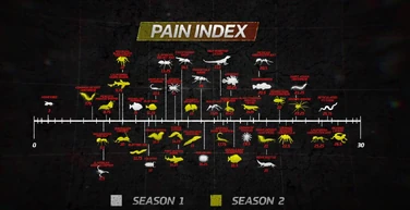 Pain Scale | Kings of Pain Wiki | Fandom