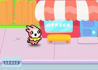 Town | Pakka Pets Wikia | Fandom