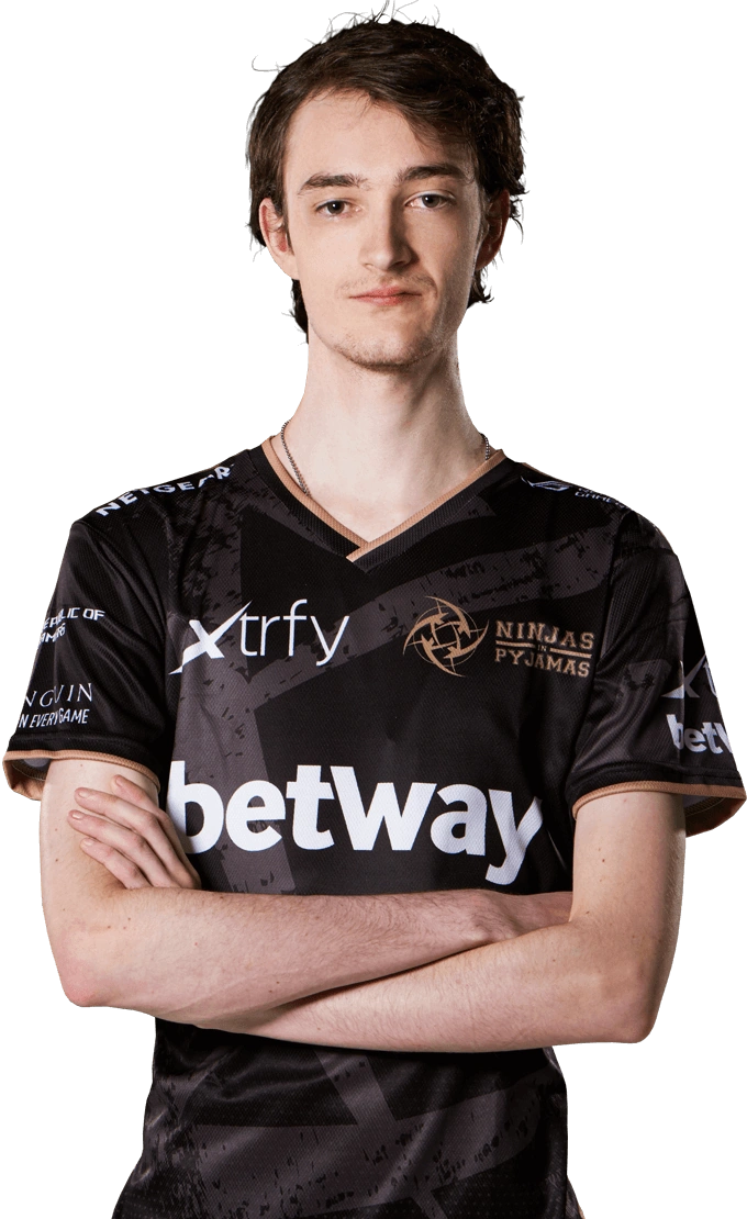 Bird | Paladins World Esports Wiki | Fandom