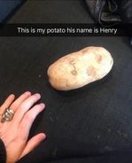 Henry Leith | Palaye Royale Wiki | Fandom