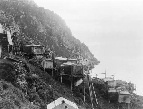 Steel Tribe | Palekaiko Moku Wiki | Fandom