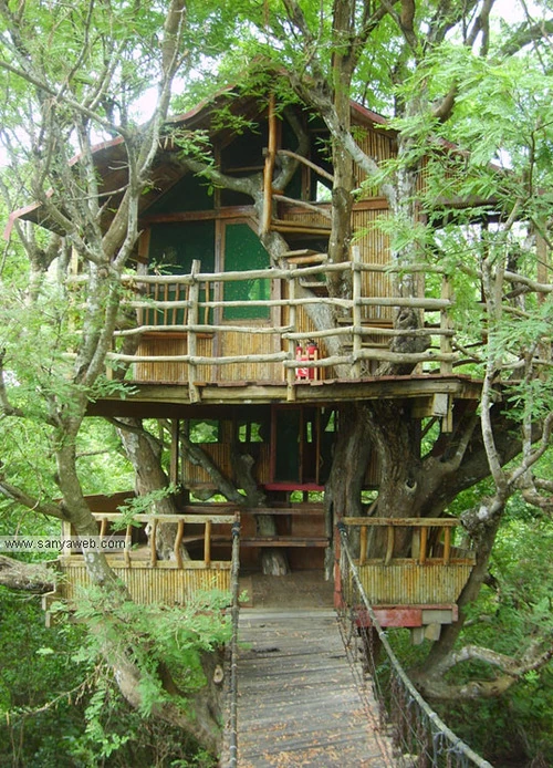 Ulula’au Forest | Palekaiko Moku Wiki | Fandom