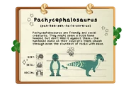 Pachycephalosaurus | Paleo Pines Wiki | Fandom