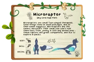 Microraptor | Paleo Pines Wiki | Fandom