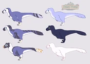 Utahraptor | Paleo Pines Wiki | Fandom