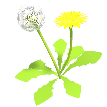 Dandelion | Paleo Pines Wiki | Fandom