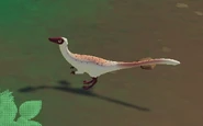 Compsognathus | Paleo Pines Wiki | Fandom