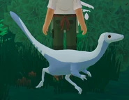 Compsognathus | Paleo Pines Wiki | Fandom