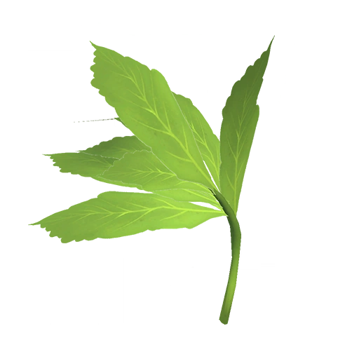 Herb | Paleo Pines Wiki | Fandom