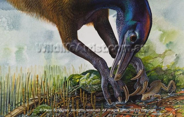 Shenzhousaurus | Paleo Wiki | Fandom